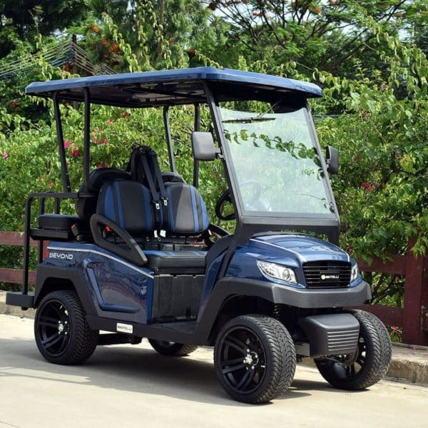 Low-Speed Vehicles (LSVs)